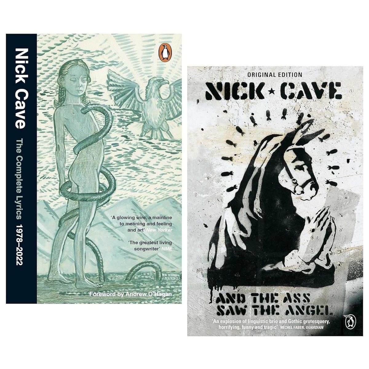 Nick Cave 2 Books Collection Set (And the Ass Saw the Angel & The Comp ...