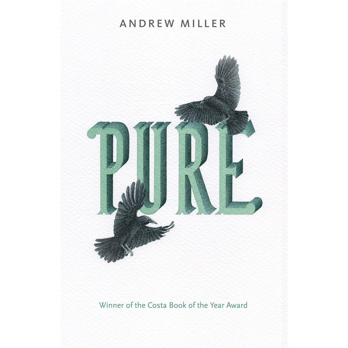 Pure by Andrew Miller — The Book Bundle