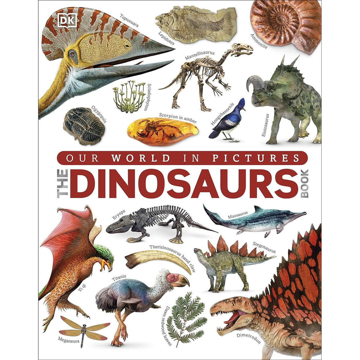 The Our World in Pictures The Dinosaurs Book | The Book Bundle