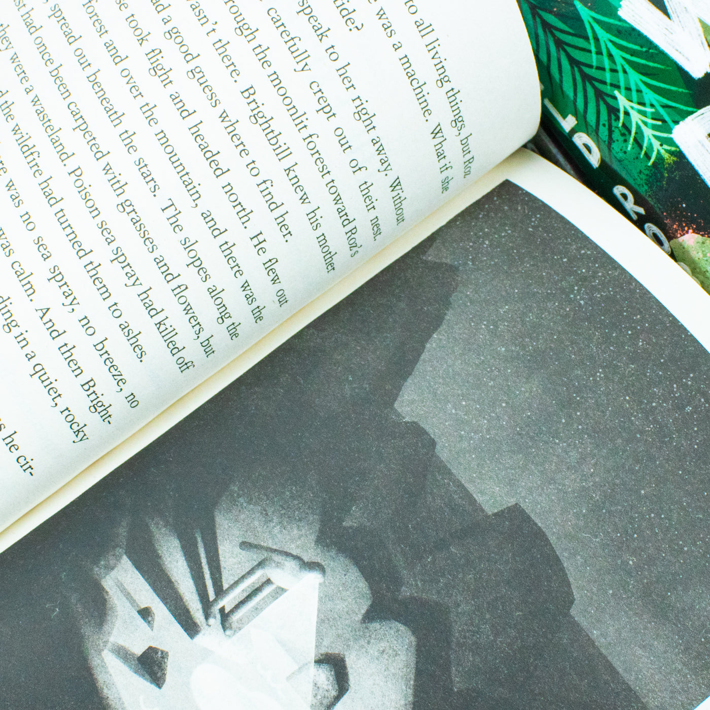 The Wild Robot Series 3 Books Collection (The Wild Robot, The Wild ...