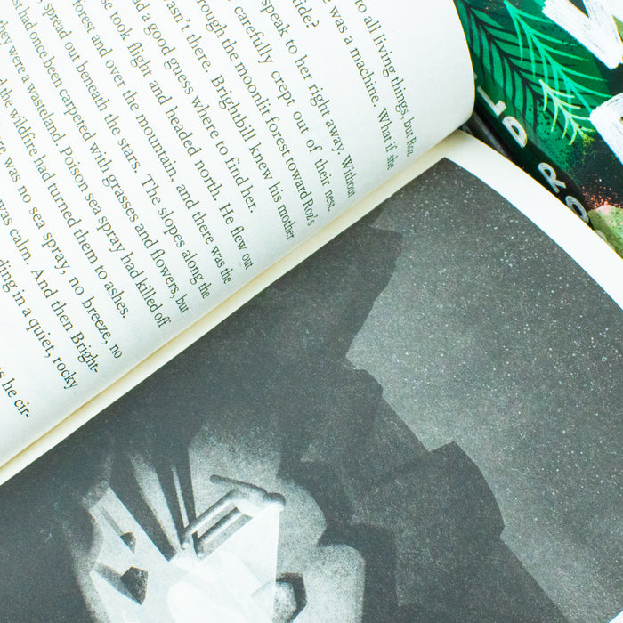 The Wild Robot Series 3 Books Collection (The Wild Robot, The Wild ...