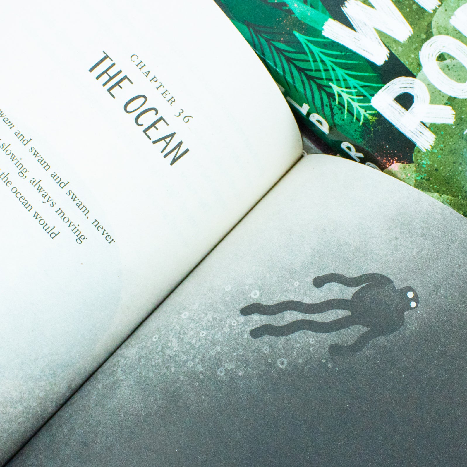 The Wild Robot Series 3 Books Collection (The Wild Robot, The Wild ...