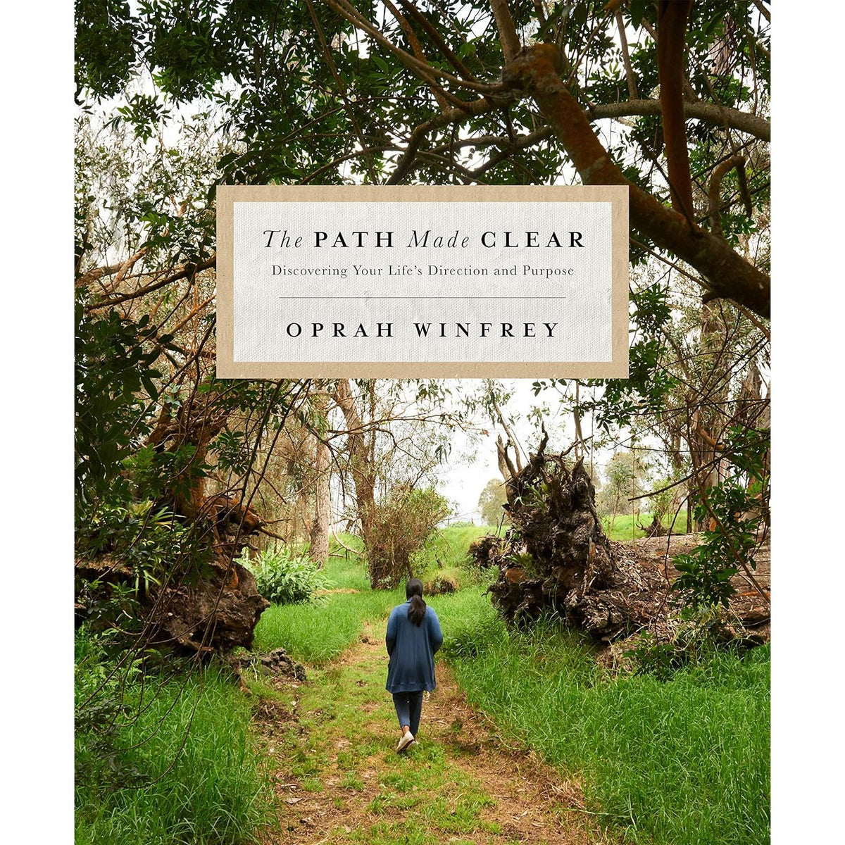 The Path Made Clear: Discovering Your Life's Direction and Purpose ...