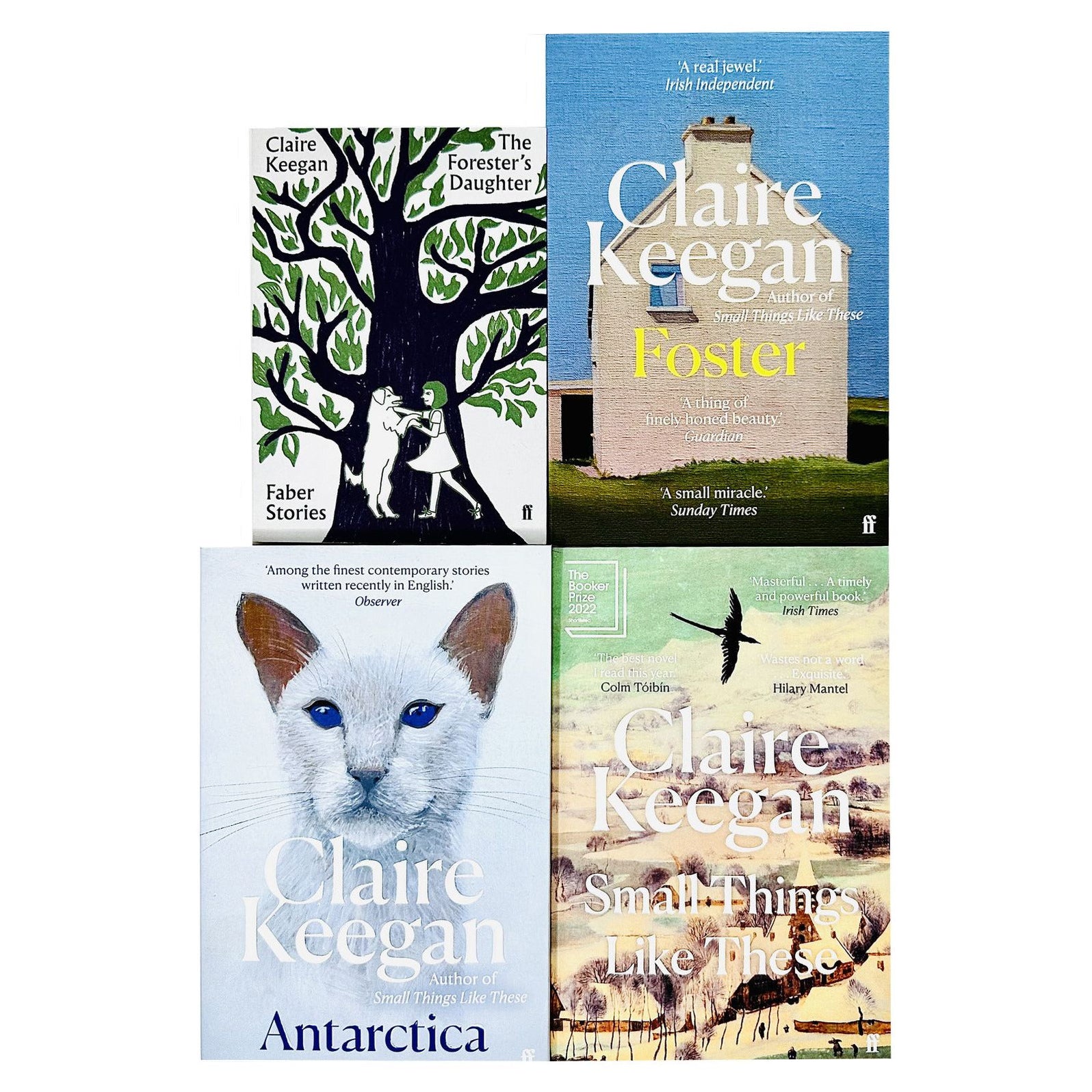 Claire Keegan Collection 4 Books Set (Antarctica, The Forester's ...
