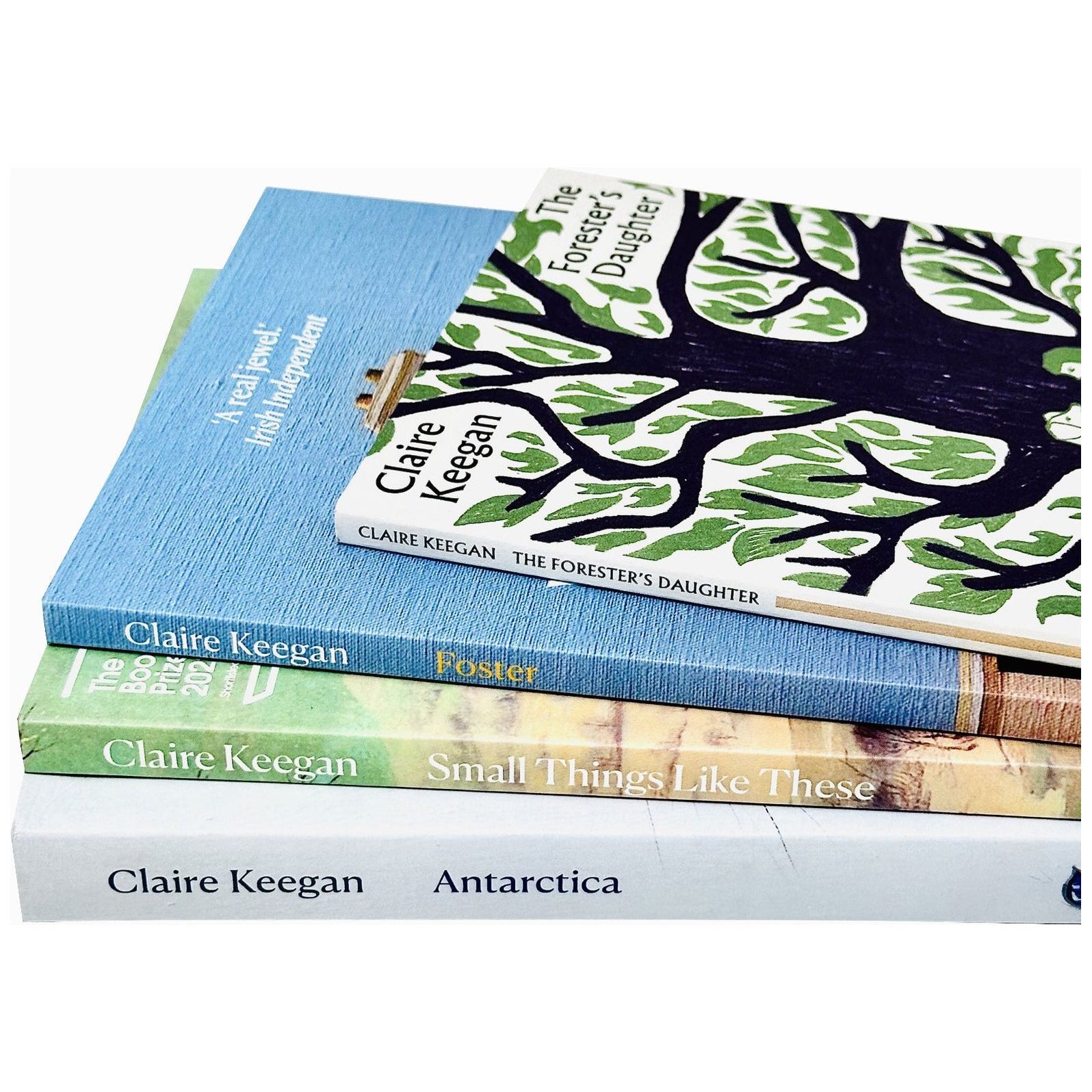 Claire Keegan Collection 4 Books Set (Antarctica, The Forester's ...