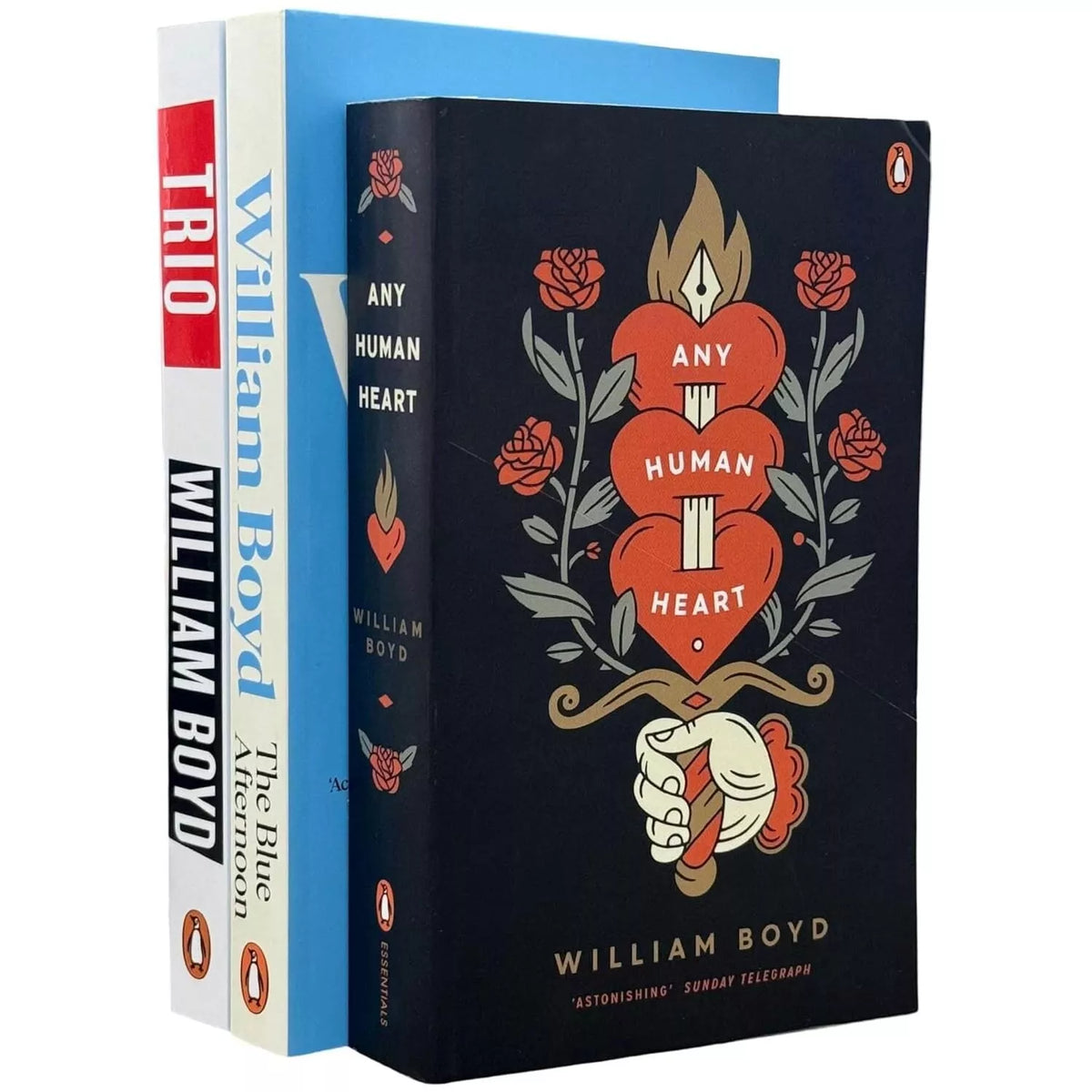 William Boyd Collection 3 Books Set Any Human Heart, Blue Afternoon, Trio | The Book Bundle