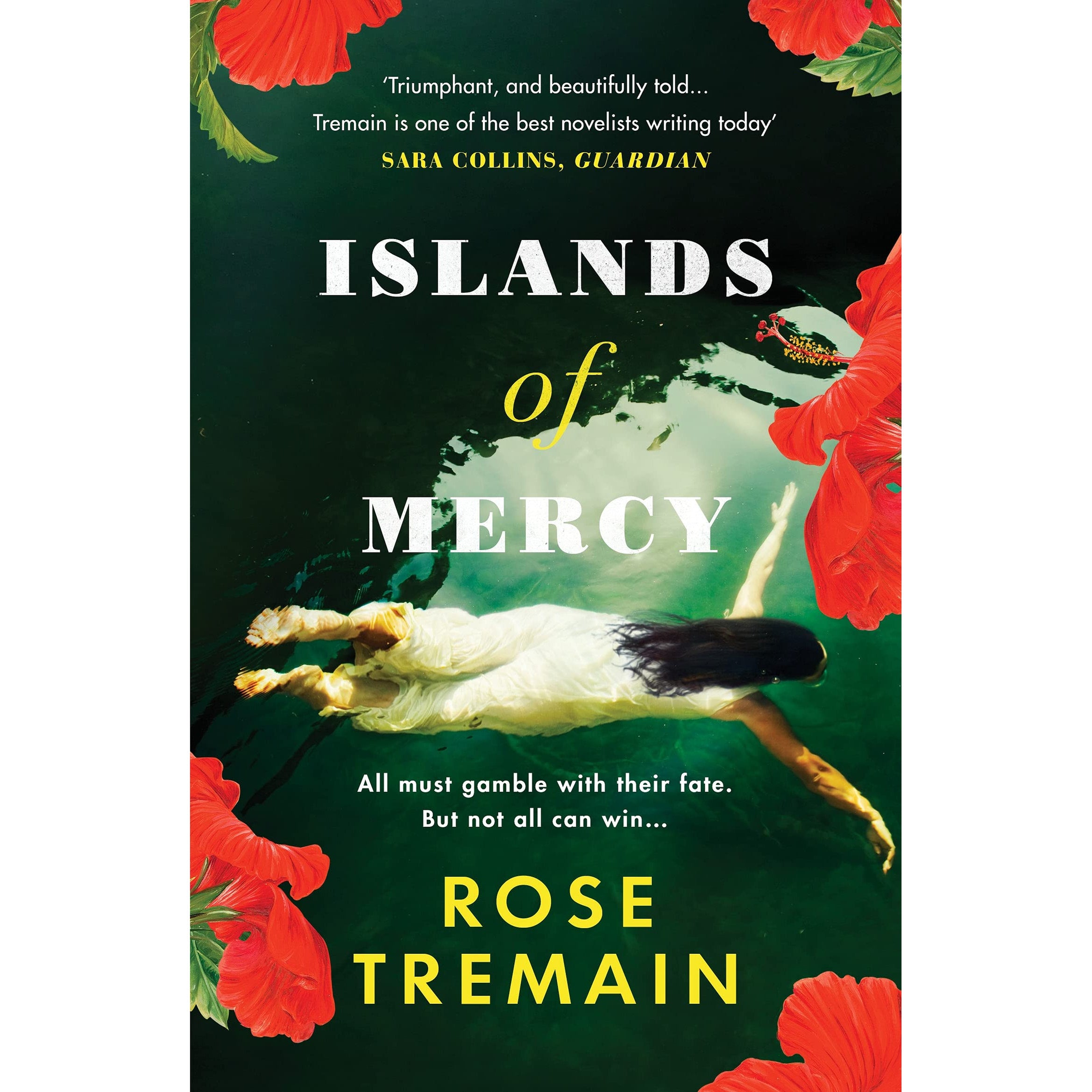Rose Tremain 3 Books Collection Set (Islands of Mercy, Lily ...