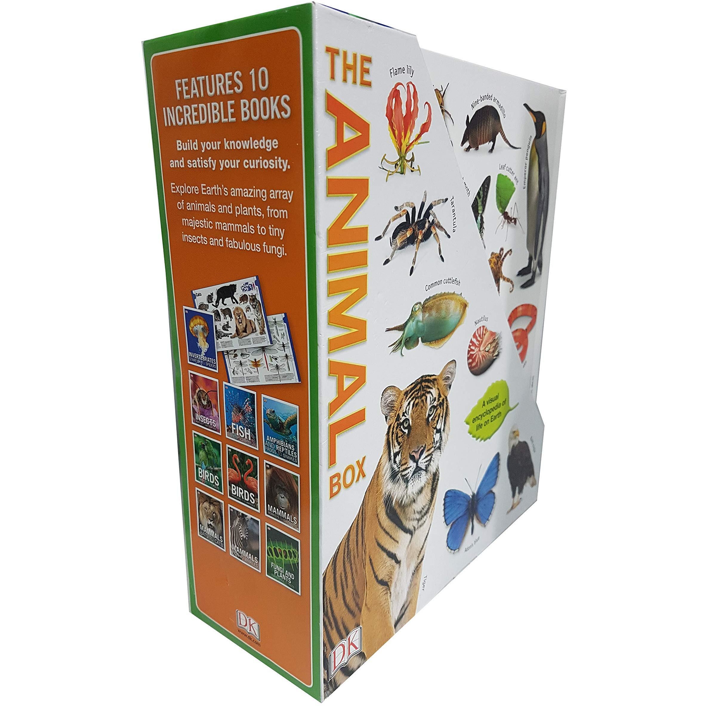 The Animal Box Collection 10 Books Set | The Book Bundle