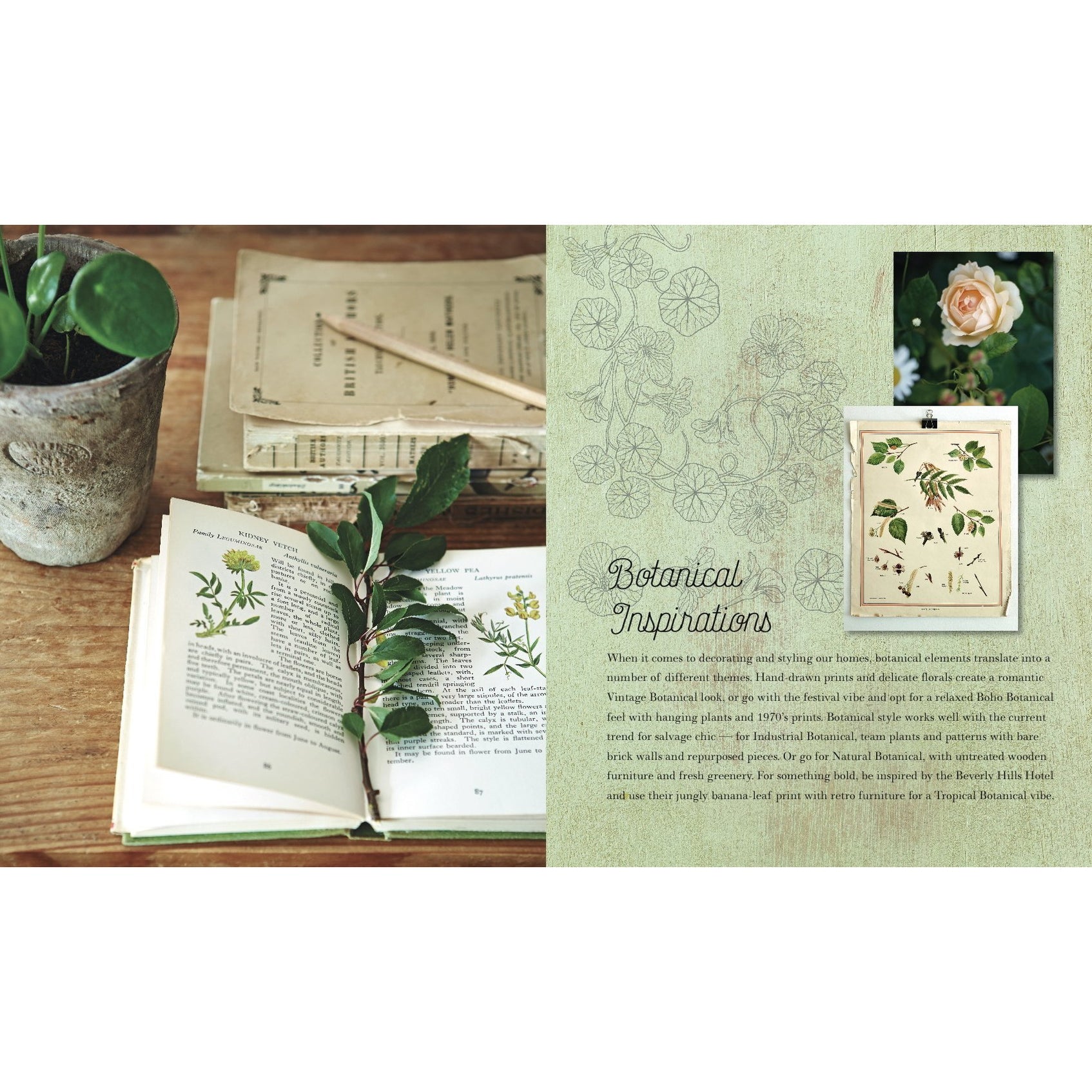 Botanical Style: Inspirational decorating with nature, plants and ...