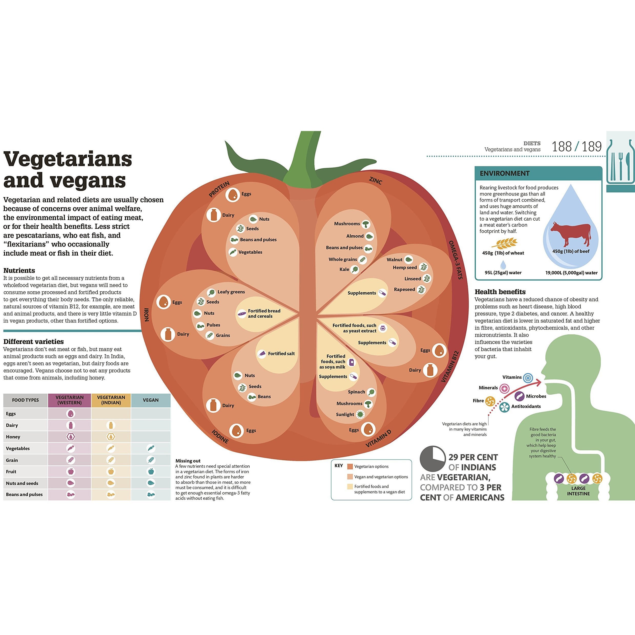 How Food Works: The Facts Visually Explained (Dk) | The Book Bundle